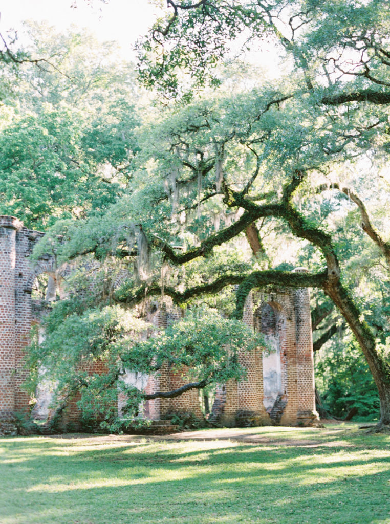 Mary Catharine & Cody's Engagement Session at Old Sheldon Church Ruins ...