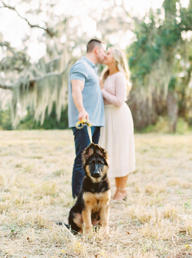Best of Dogs in Weddings and Engagement Sessions - Kati Rosado ...