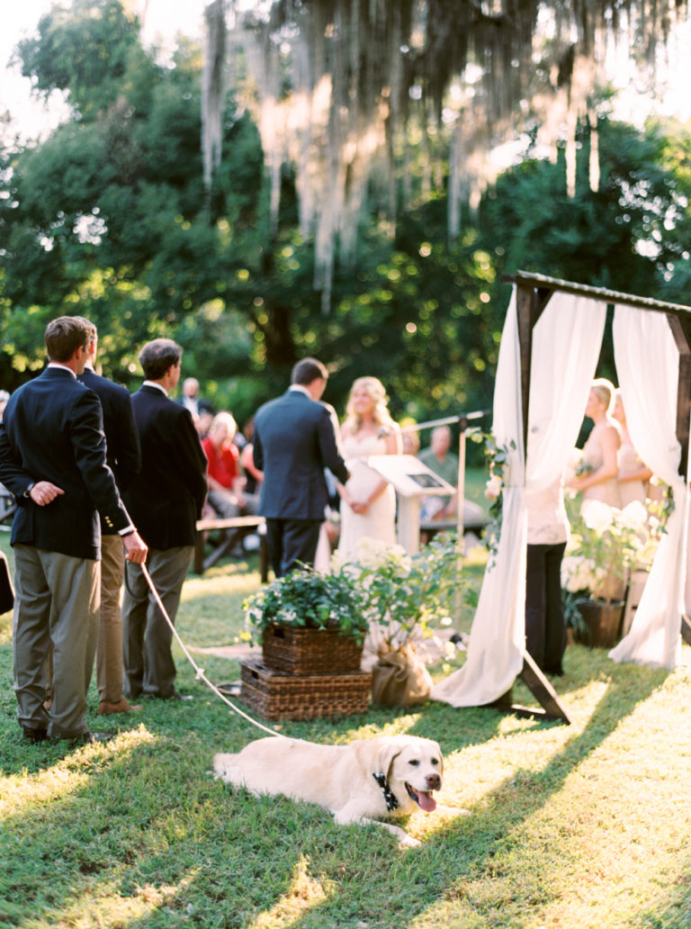 Best of Dogs in Weddings and Engagement Sessions - Kati Rosado ...