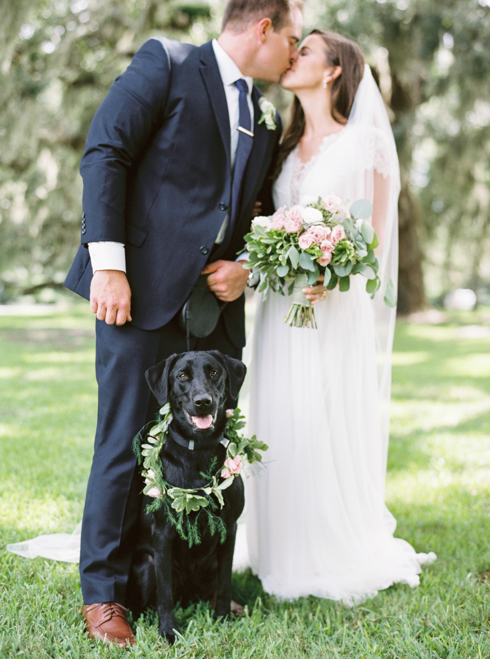 Best of Dogs in Weddings and Engagement Sessions - Kati Rosado ...
