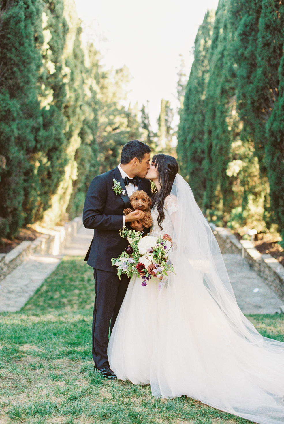 Best of Dogs in Weddings and Engagement Sessions - Kati Rosado ...