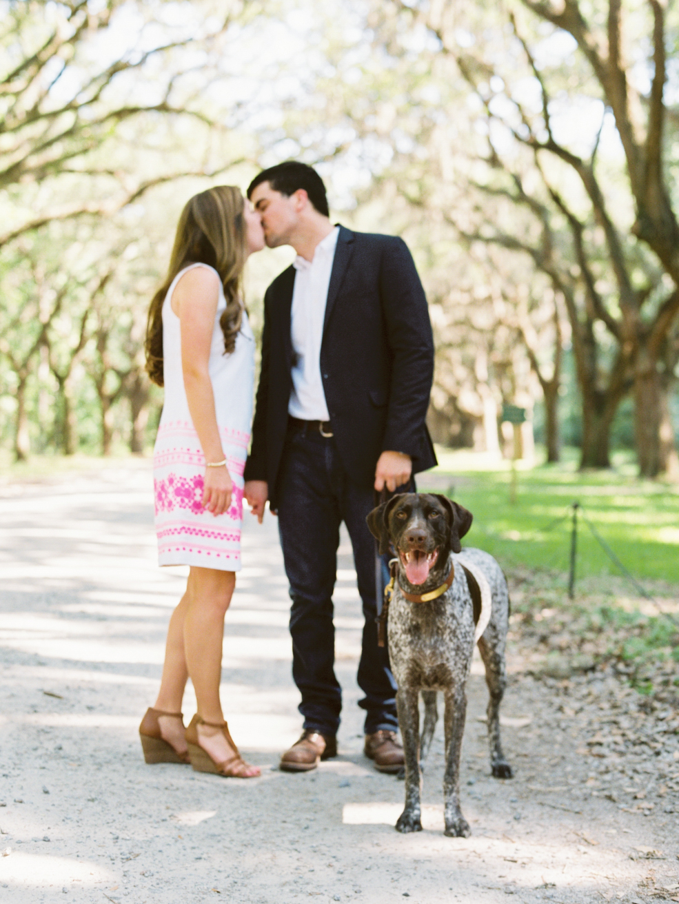 Best of Dogs in Weddings and Engagement Sessions - Kati Rosado ...