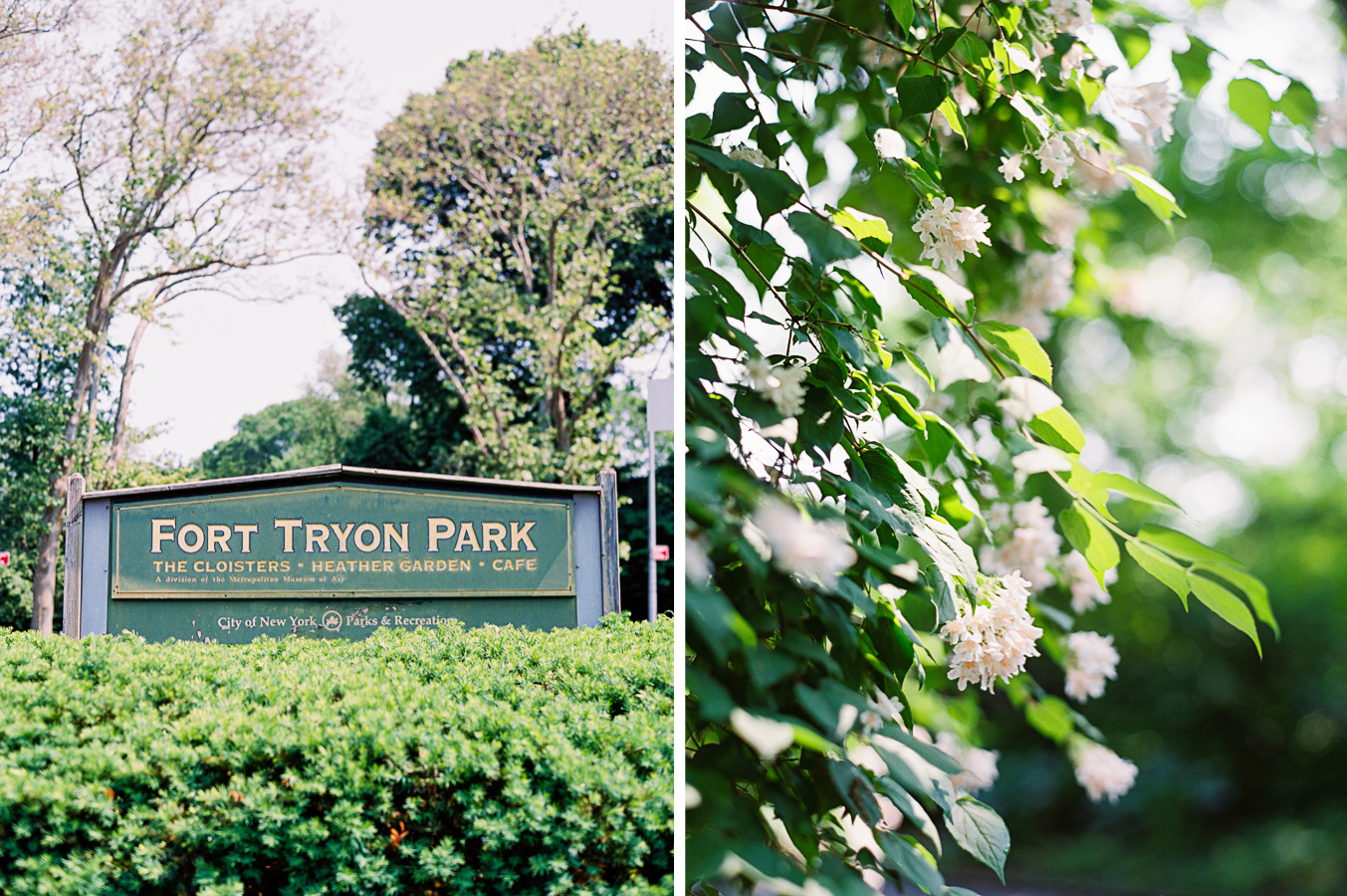 Fort Tryon Park | New Leaf Restaurant Wedding | NYC Fine Art Film ...