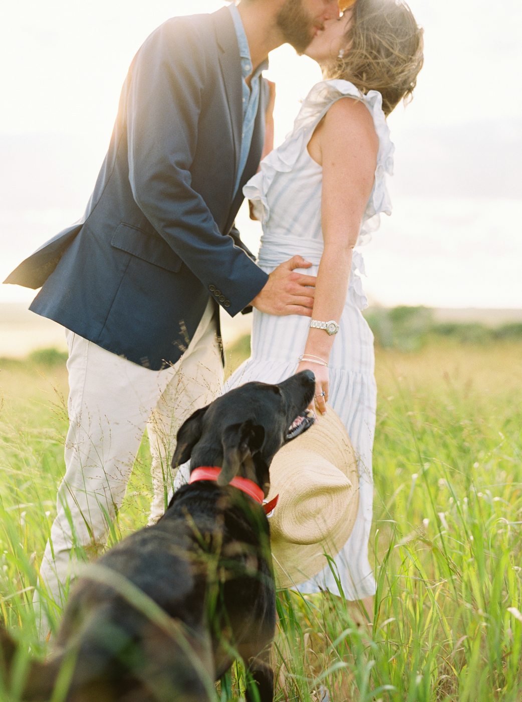 Best of Dogs in Weddings and Engagement Sessions - Kati Rosado ...