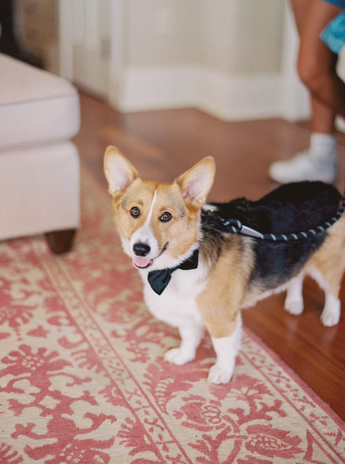 Ocean House Wedding | Watch Hill, Rhode Island Wedding Photographer ...